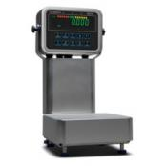 Checkweigher | Accurate Superior Scale